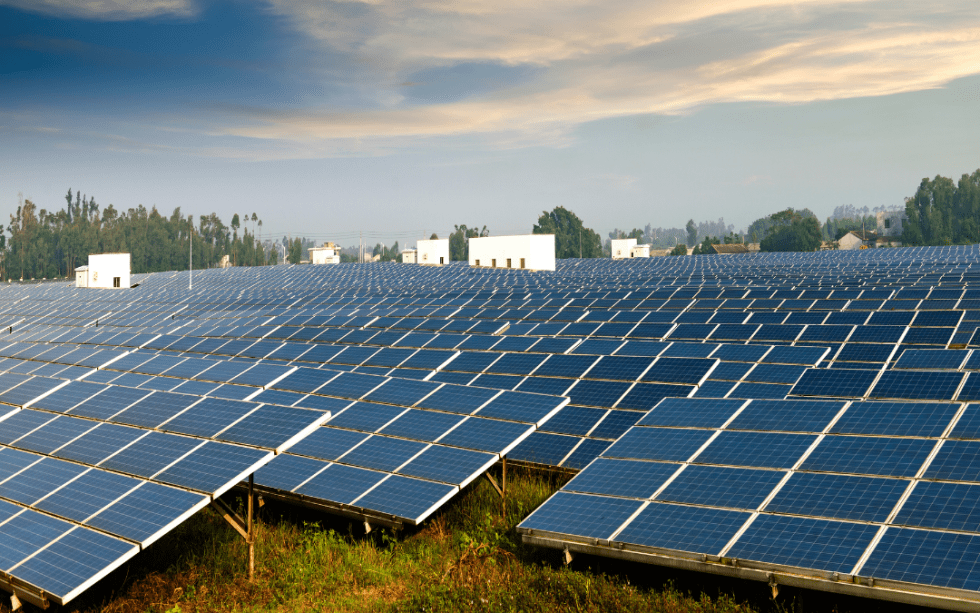 EDF Renewables to build 50MW Solar Farm - Solar&StorageXtra