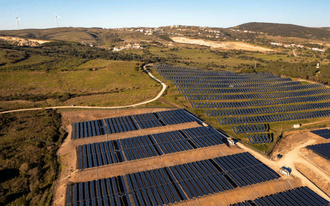 “World’s largest” solar and BESS project awarded certificate
