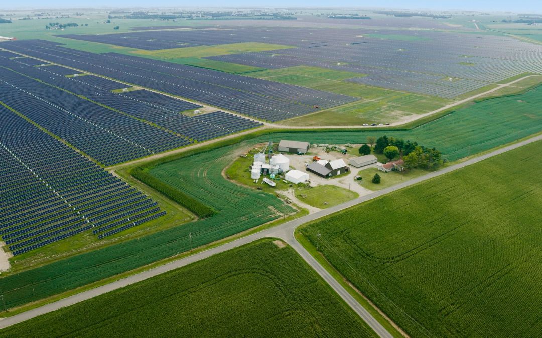 Amazon report explains local benefits of its agrivoltaic farms