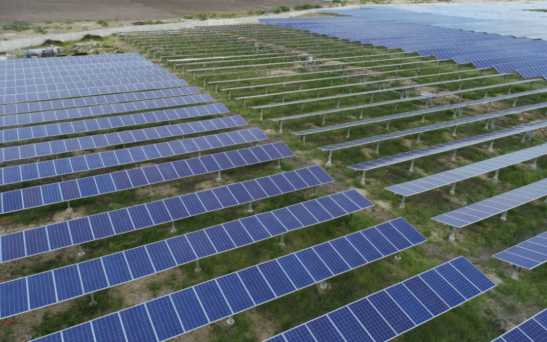 Waaree Energies Expands Global Solar Operations Ahead of IPO