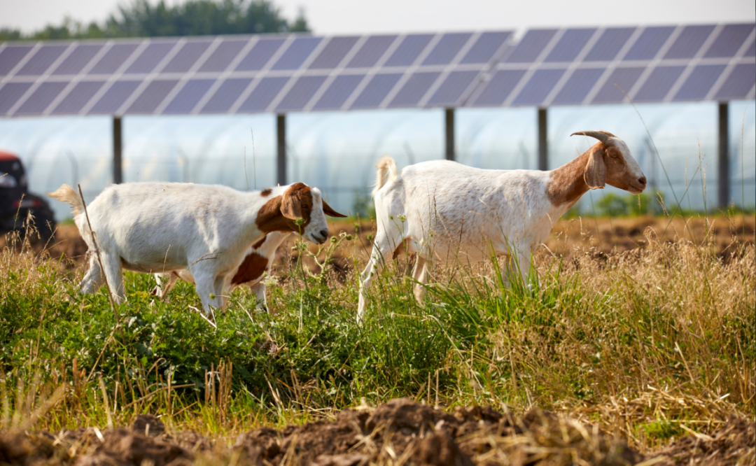 Home - Solar&StorageXtra