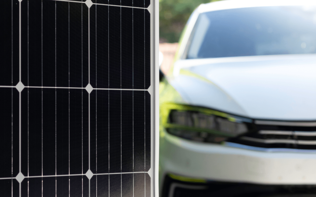 ADNOC Distribution partners with Emerge for solarisation programme