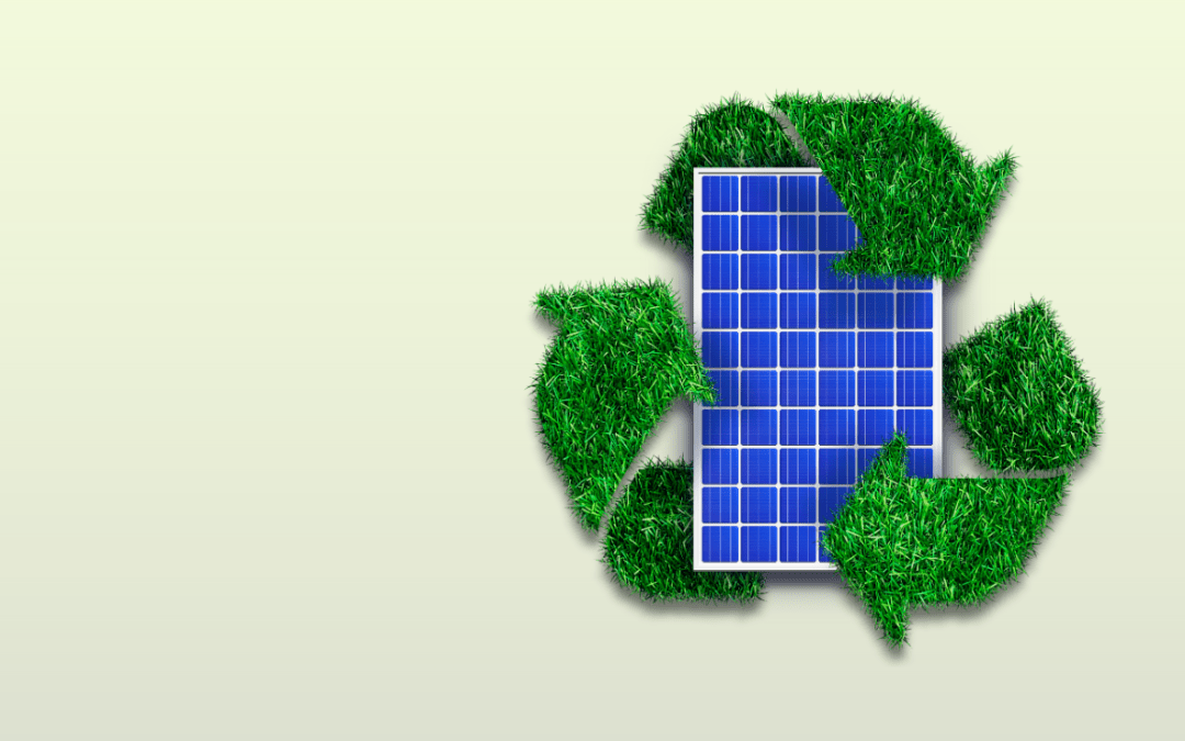Global Recycling Day 2025: The ins and outs of solar panel recycling